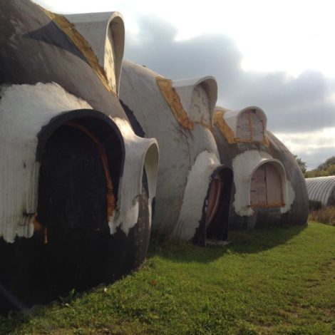 Sweet Multi-Dome In Rural Northern Minnesota | Looney Listing